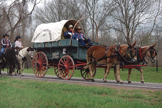 Photo Gallery | Salt Grass Trail Ride