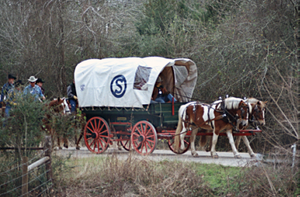 Photo Gallery | Salt Grass Trail Ride