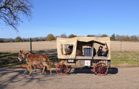 Wagons | Salt Grass Trail Ride