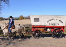 Wagons | Salt Grass Trail Ride