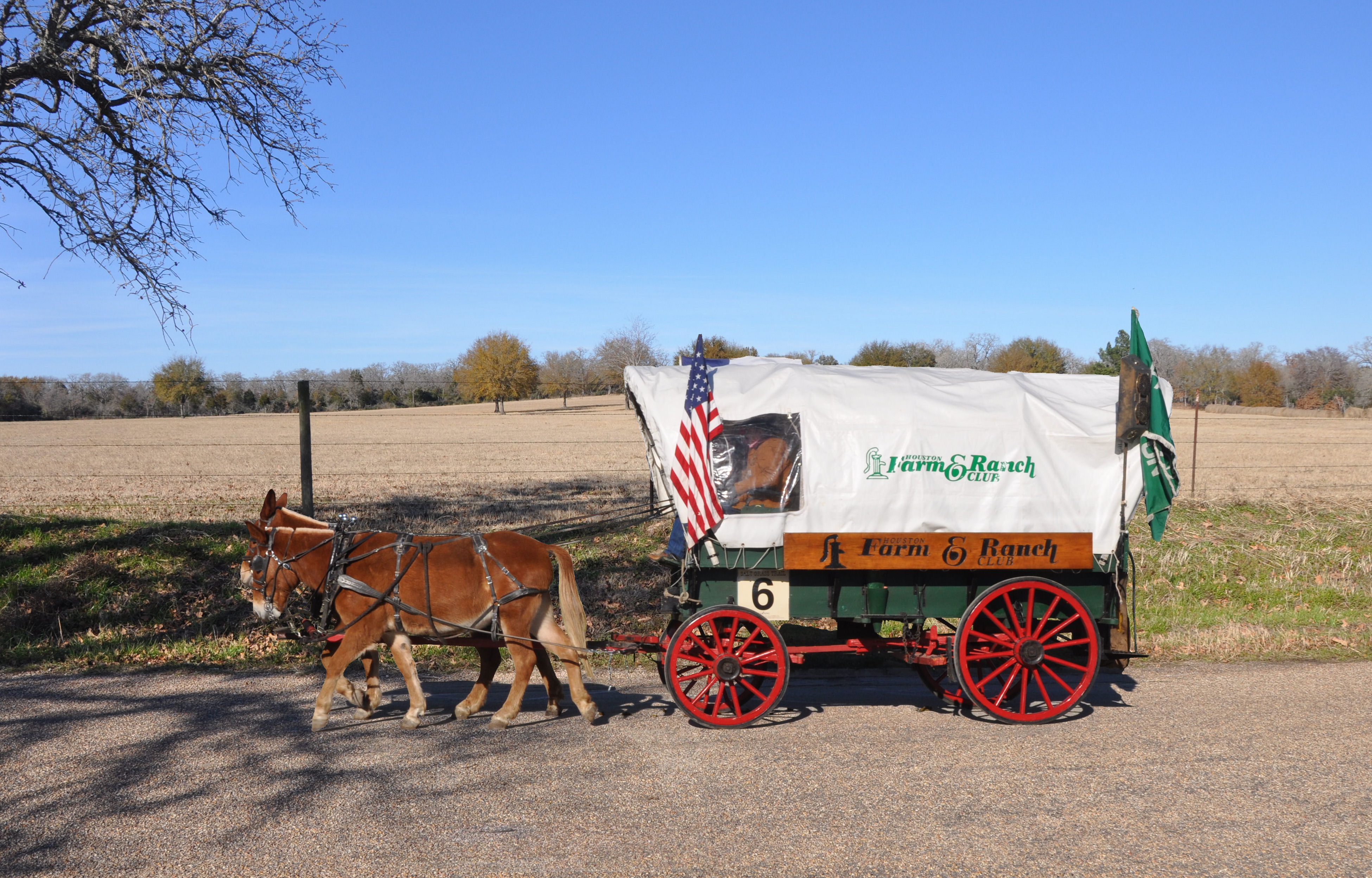 wagon 6 z | Salt Grass Trail Ride