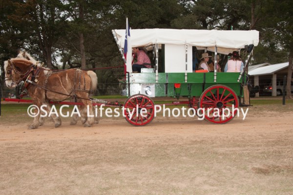 Wagons | Salt Grass Trail Ride